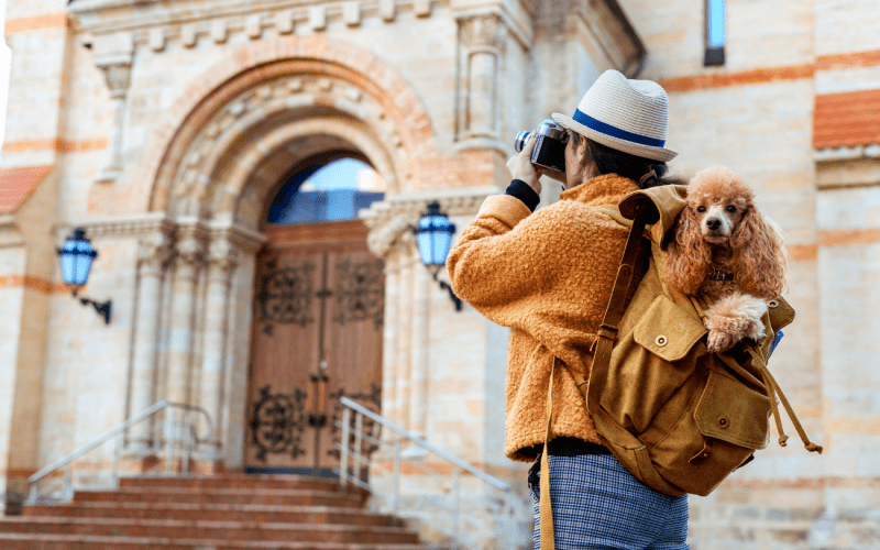 Tips for Traveling with Your Pet | Blog | Leonardo Hotels